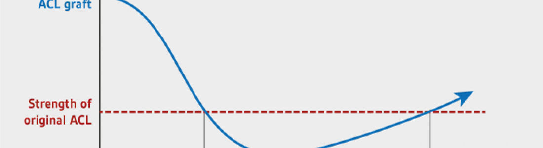 ACL-strength - Dr. Bu Balalla